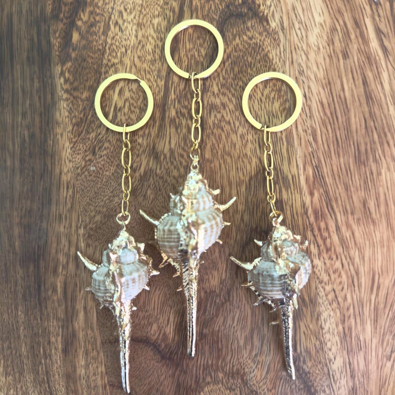 Sea Shell Keychain - Etsy