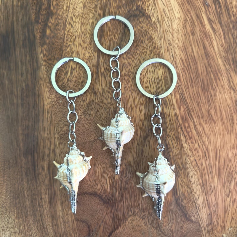 Sea Shell Keychain - Etsy
