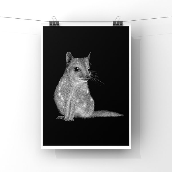 Quoll - Etsy