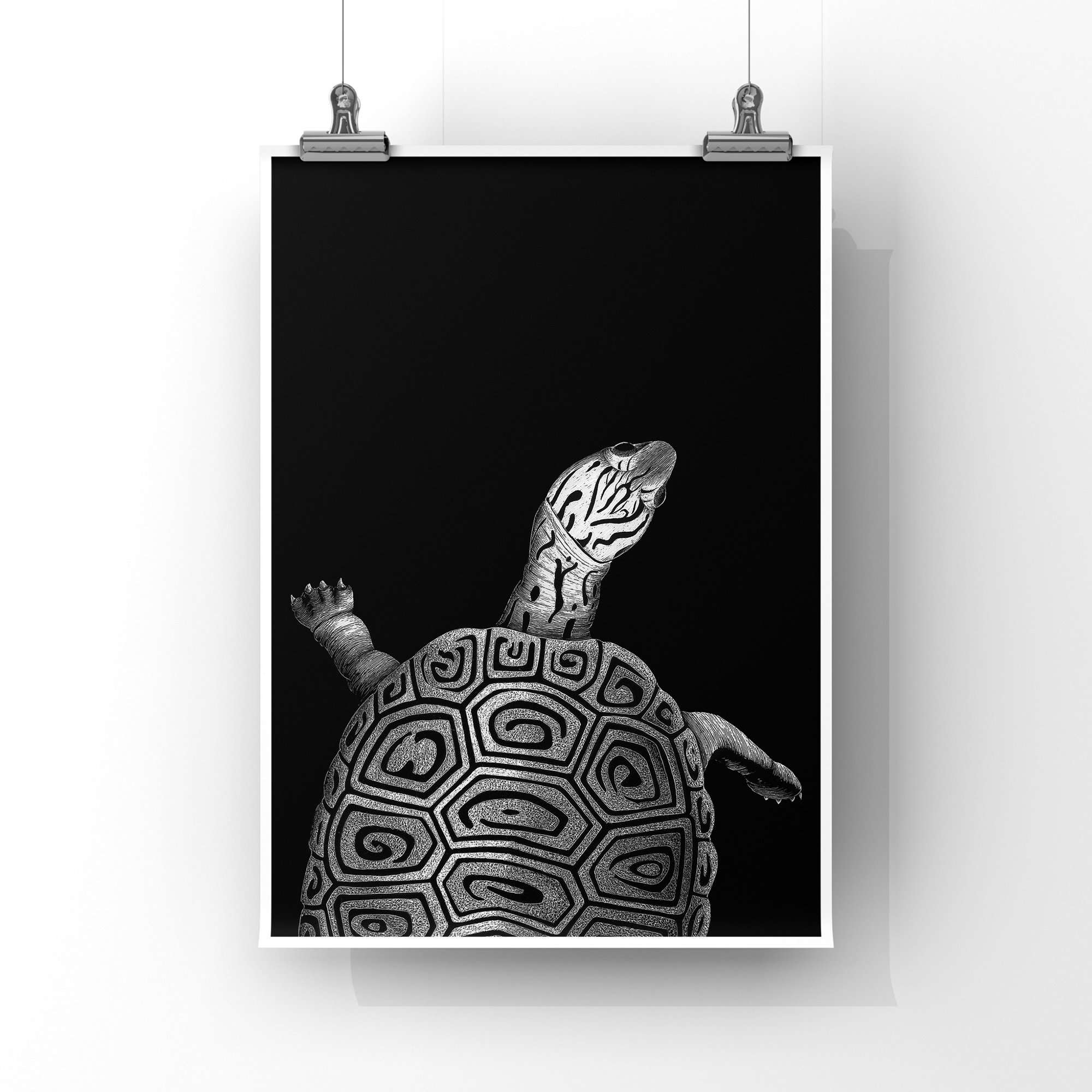 TURTLE PRINT - 8x10 Art Print - Turtle Print - Black and White Print ...