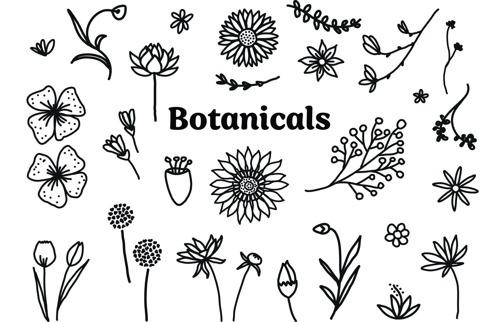 Flower Vector, Botanical Clip Art, 30 Botanical Vectors, Hand Drawn ...