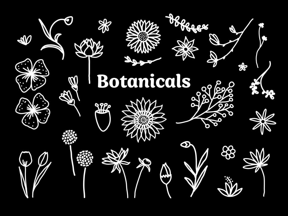 Flower Vector, Botanical Clip Art, 30 Botanical Vectors, Hand Drawn ...