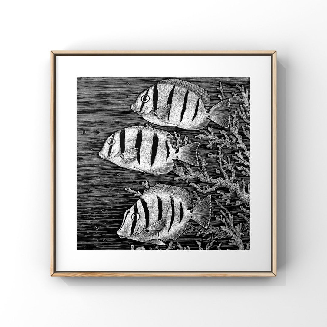 FISH PRINT - Panini Print - 8x8 Art Print - Nautical Print - Fish Print ...
