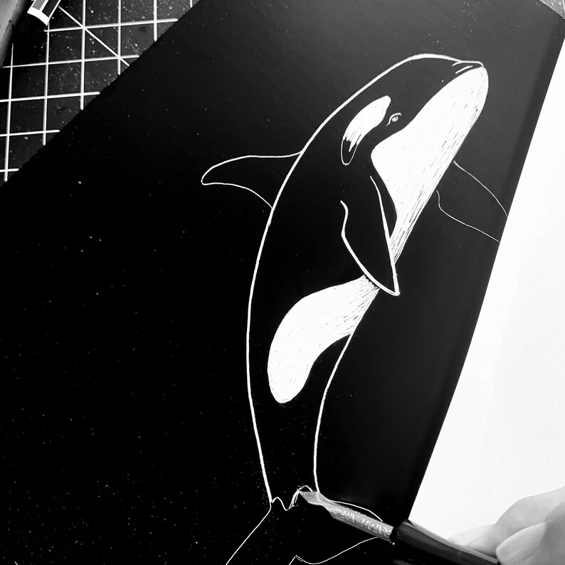 Orca Print, Print Wall Art, Printable Art, Bedroom Decor, Digital ...
