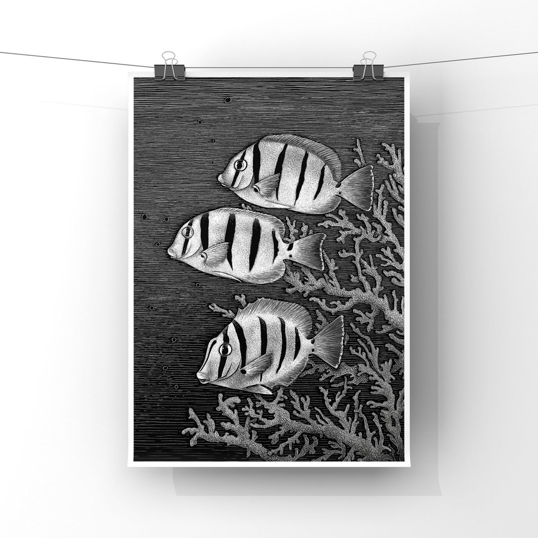 FISH PRINT MANINI Print 8x10 Art Print Convict Tang Print Black and ...