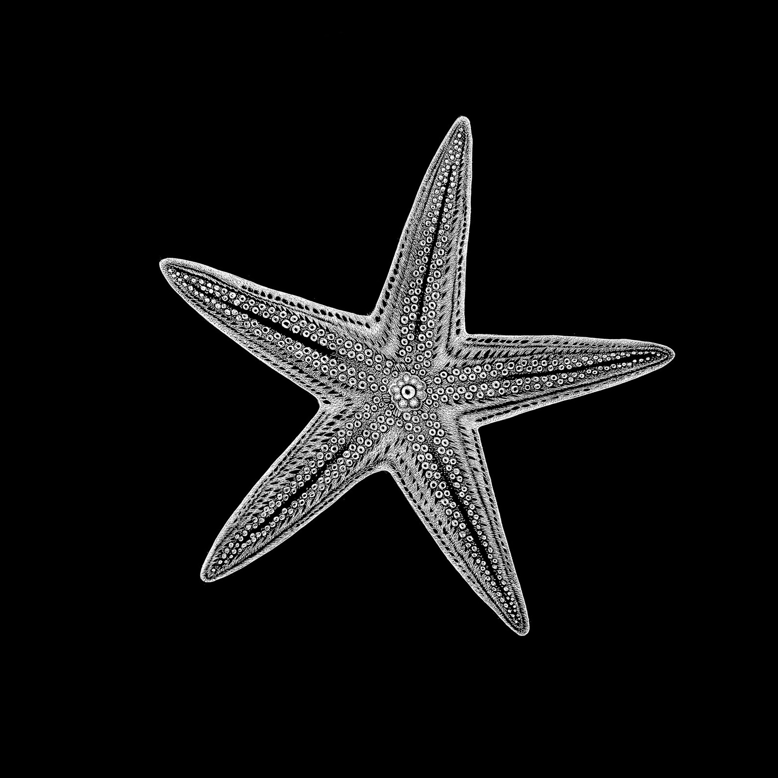 STARFISH PRINT - 8x10 -print - Ocean Decor - Beach House Art - Nautical ...