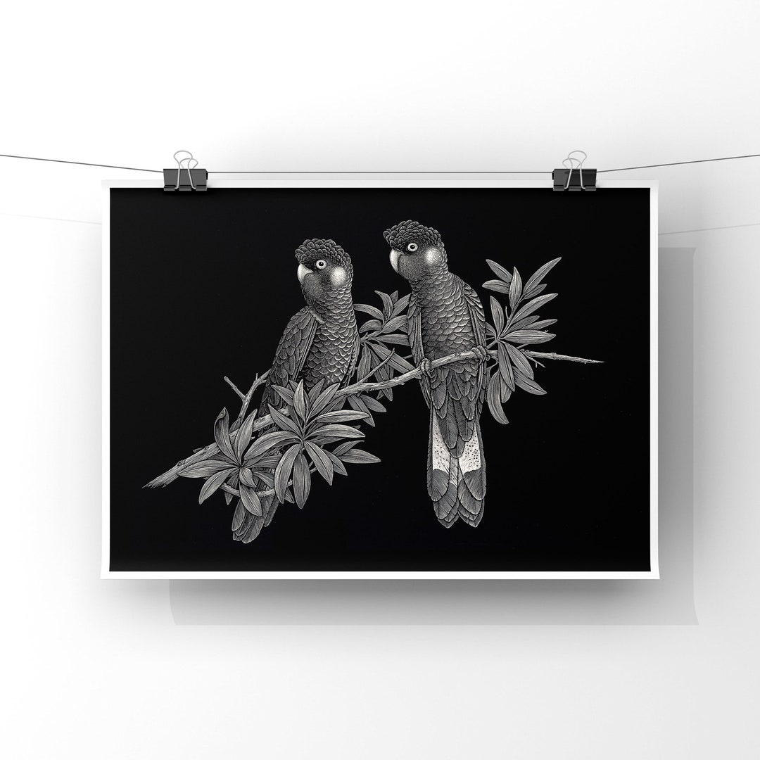 COCKATOO PRINT - 8x10 Art Print - Australian Birds Print - Aussie Bird ...