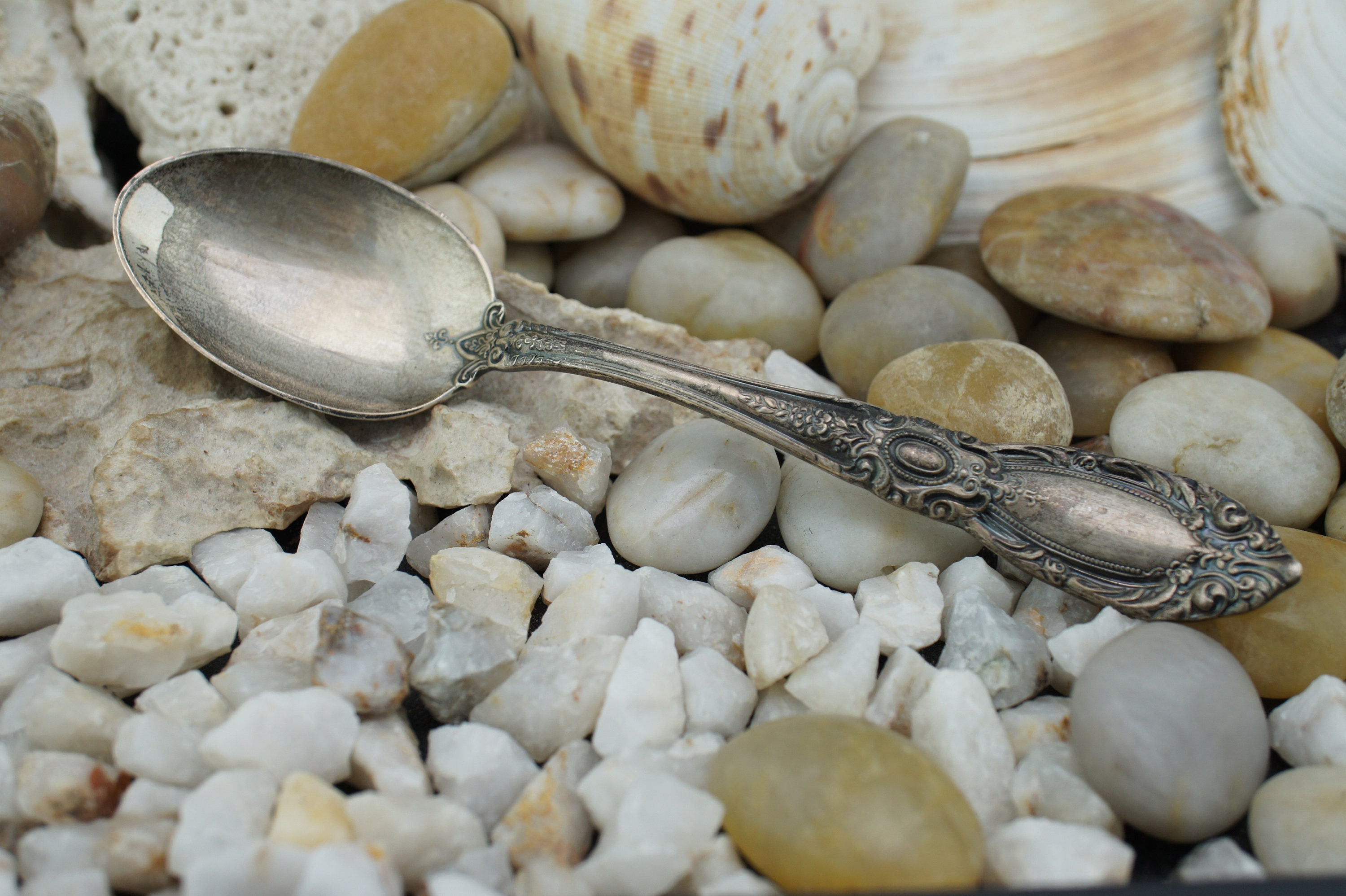 Sterling Silver 925 Demitasse Spoon King Richard 1932 No | Etsy