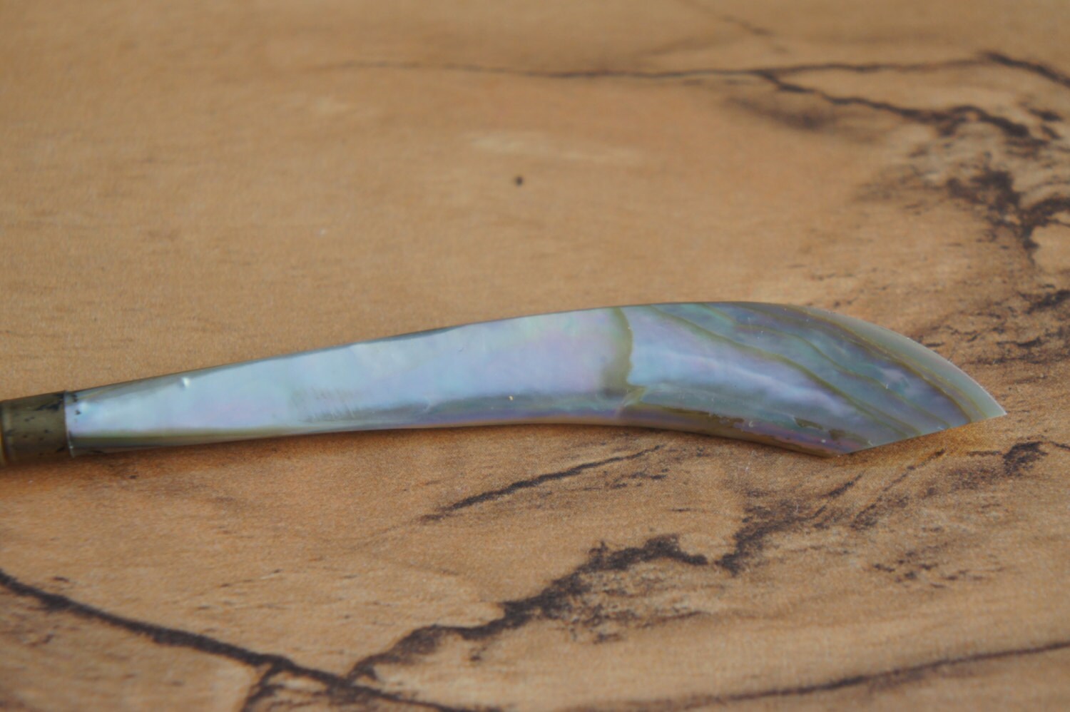 Fountain Pen Natural Shell Solid 14K Tip Gold Souvenir E-151 - Etsy