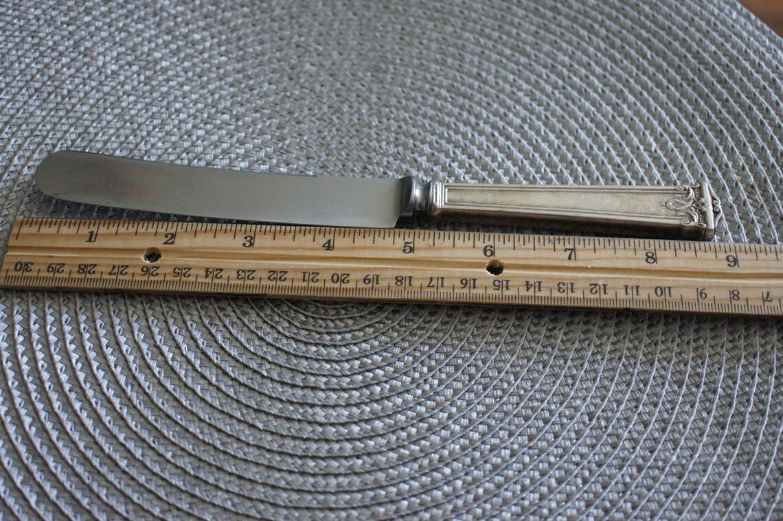 Insico Stainless Steel Dinner Knife Sterling Silver Handle | Etsy