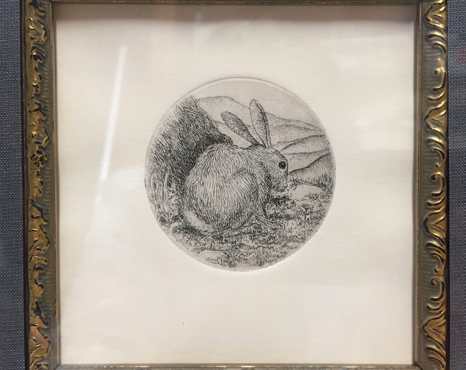 Carolyn Millard Rabbit Etching, Framed Etching, Black and Gilt Frame ...