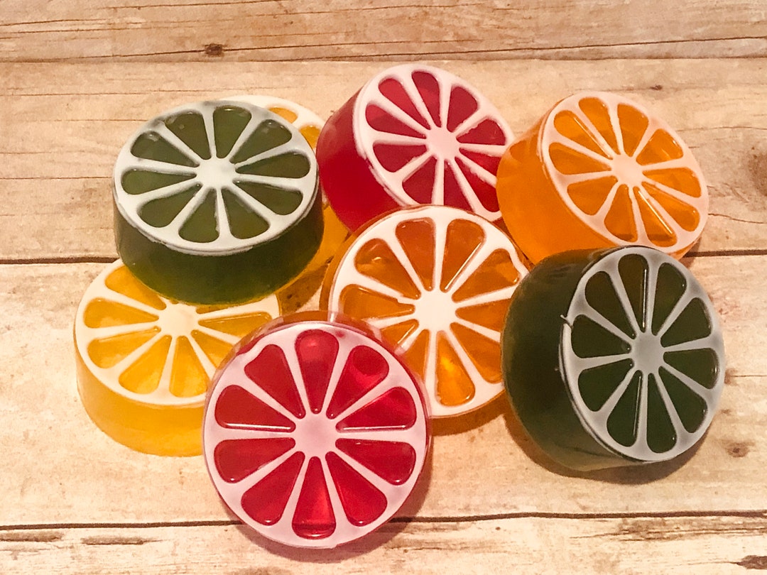 Citrus Slice Melt & Pour Soap - 3oz Bar - Choose Your Scent - Etsy