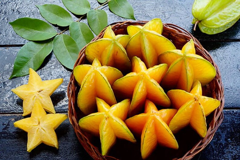 10-100 Heirloom Exotic Star Fruit Seeds/Averrhoa carambola | Etsy