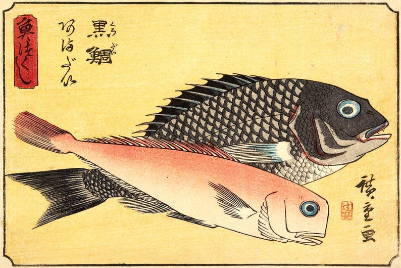Japanese Art Fish Prints Set 9 Hiroshige Fisherman Gift - Etsy