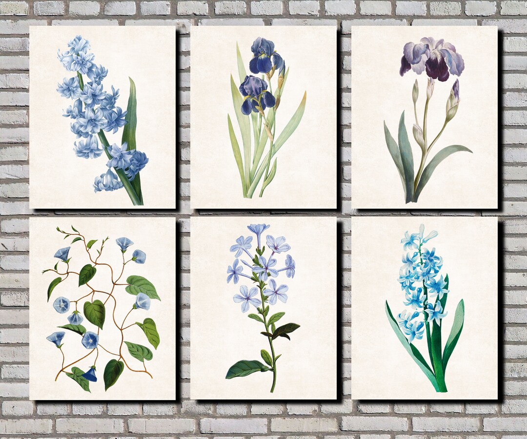 Blue Flower Prints, Botanical Art Set of 6 Posters - Etsy