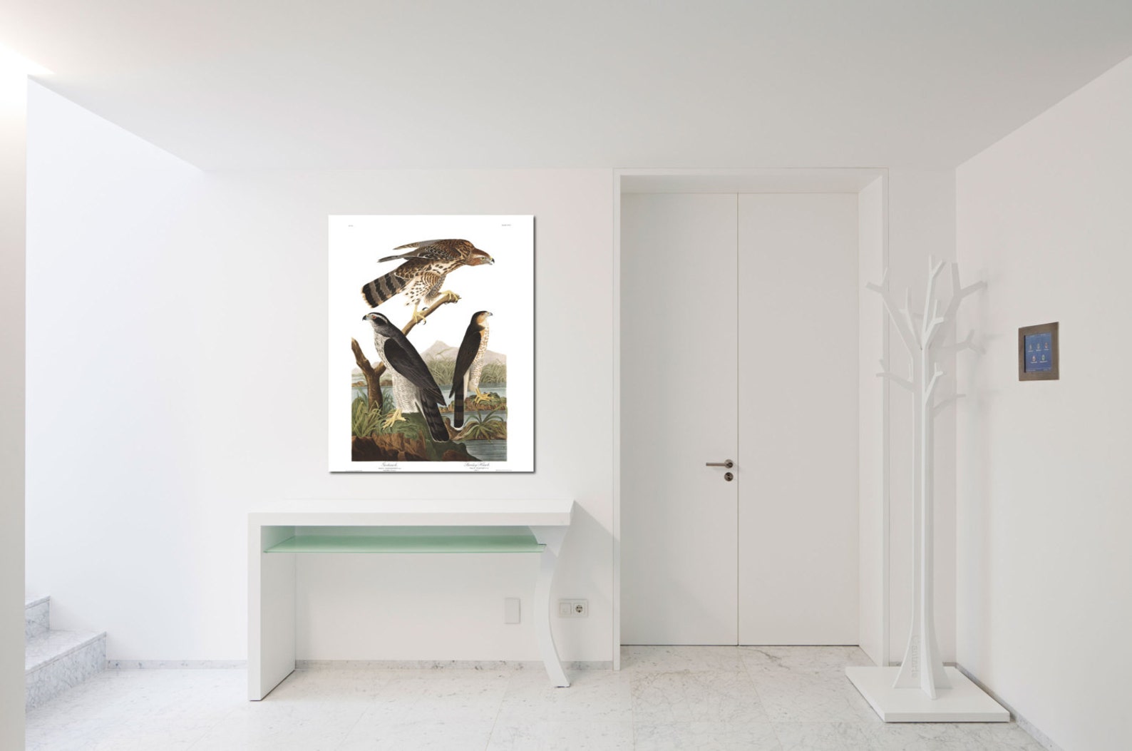 Goshawk Print Stanley Hawk Birds Poster Illustration | Etsy