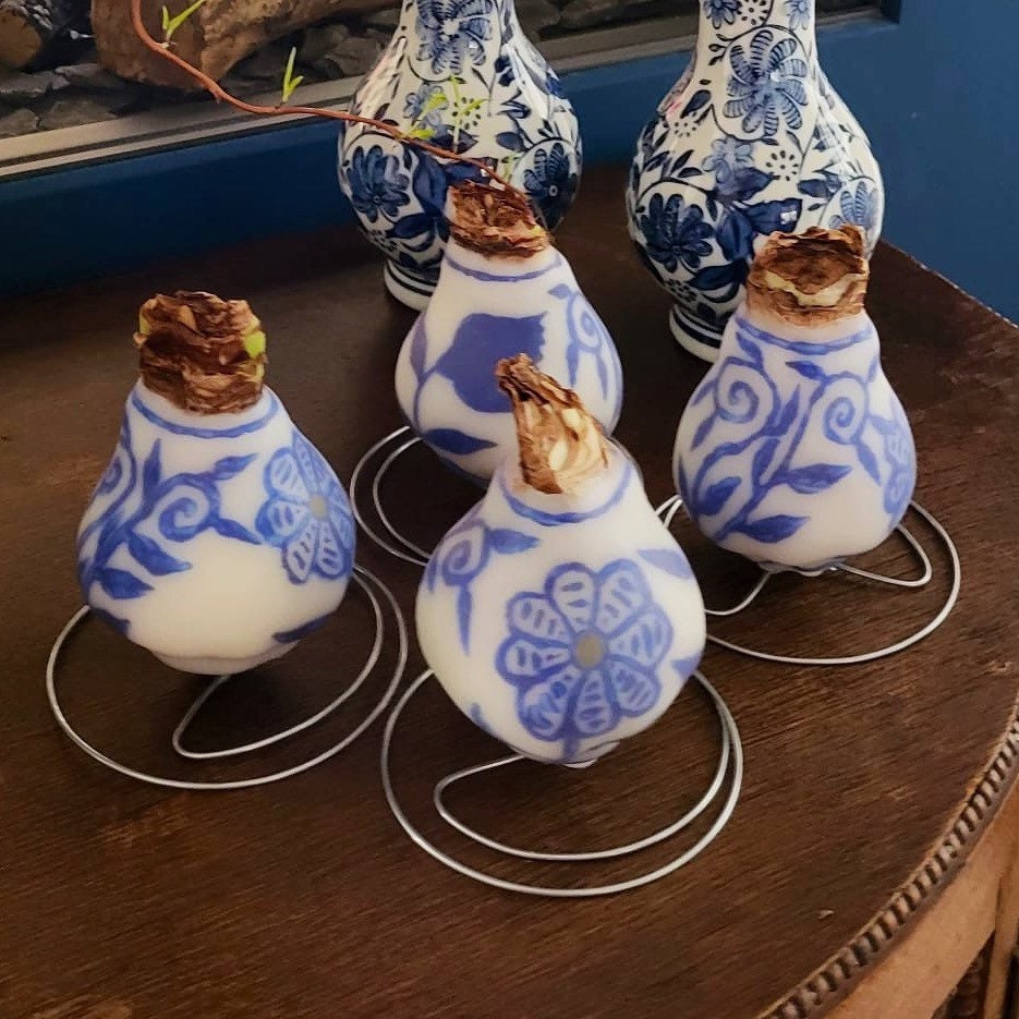 Amaryllis Wax Flower Bulb Hand-painted Dutch Design Real - Etsy