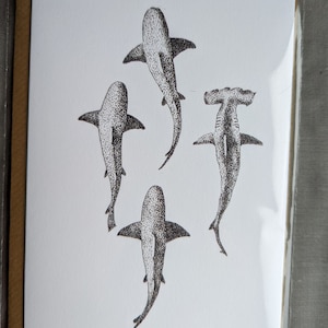 Greetings Card, Misfit Hammerhead Shark Among Blue Sharks, Pen and Ink ...