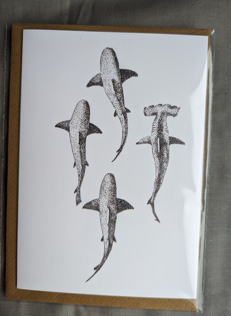 Greetings Card, Misfit Hammerhead Shark Among Blue Sharks, Pen and Ink ...