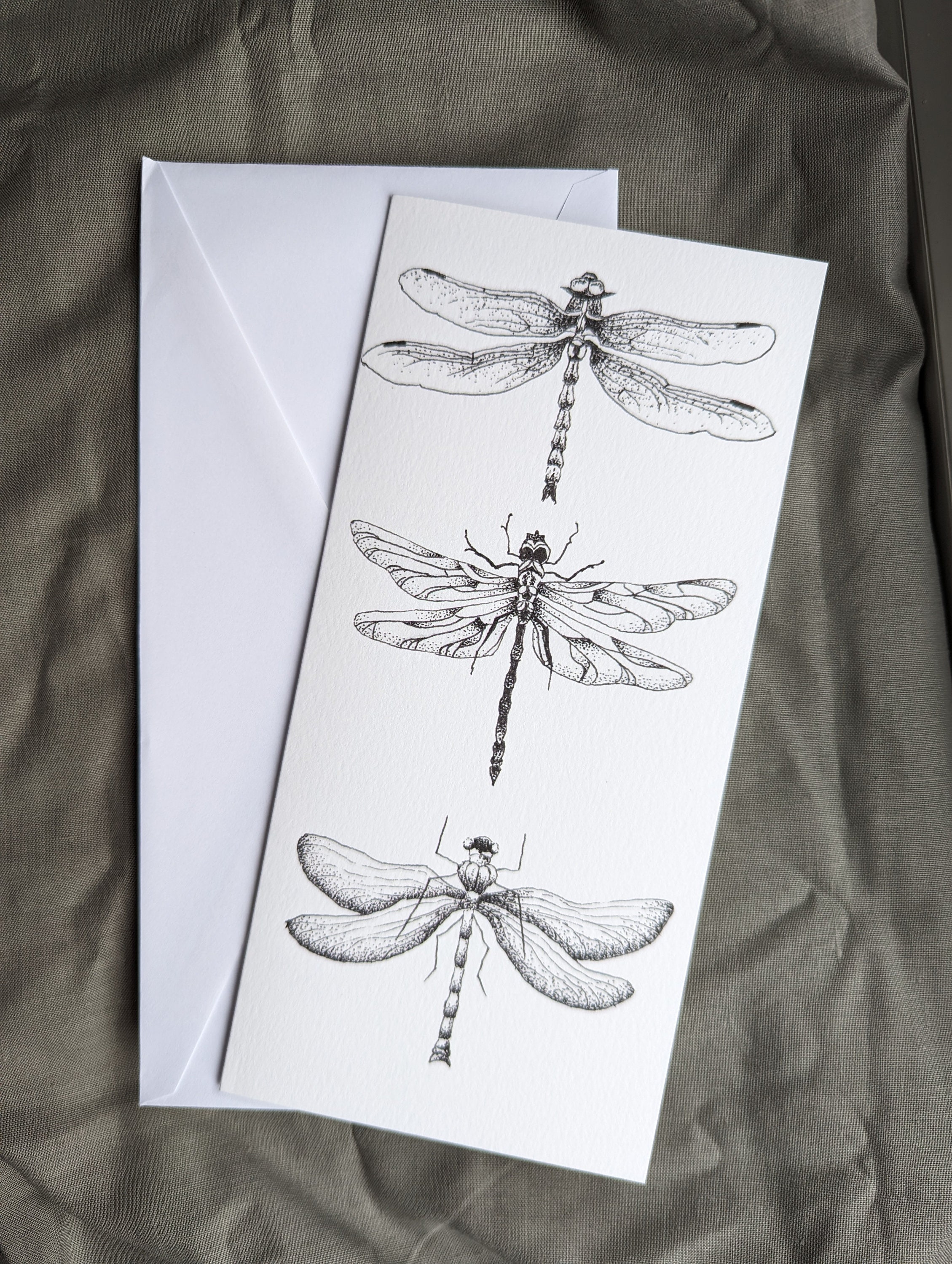 Greetings Card, Trio of Dragonflies, Pen and Ink Drawing, Wildlife Art - Etsy