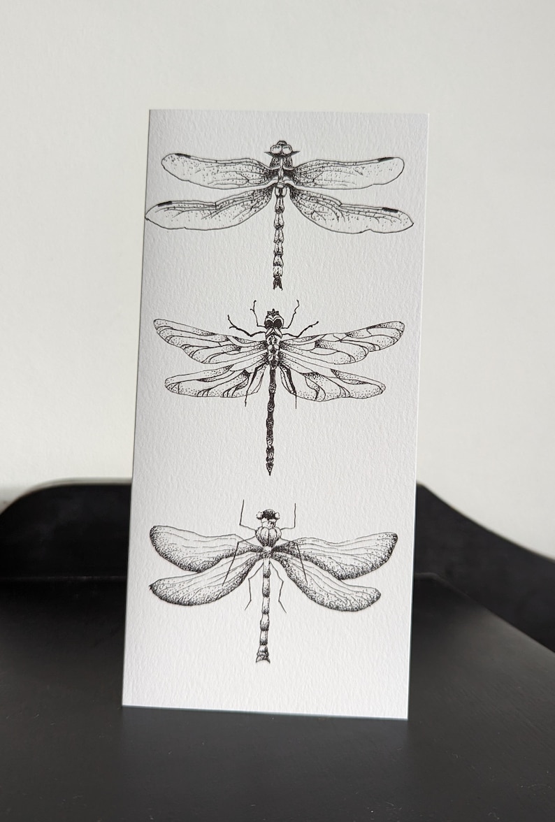 Greetings Card, Trio of Dragonflies, Pen and Ink Drawing, Wildlife Art ...