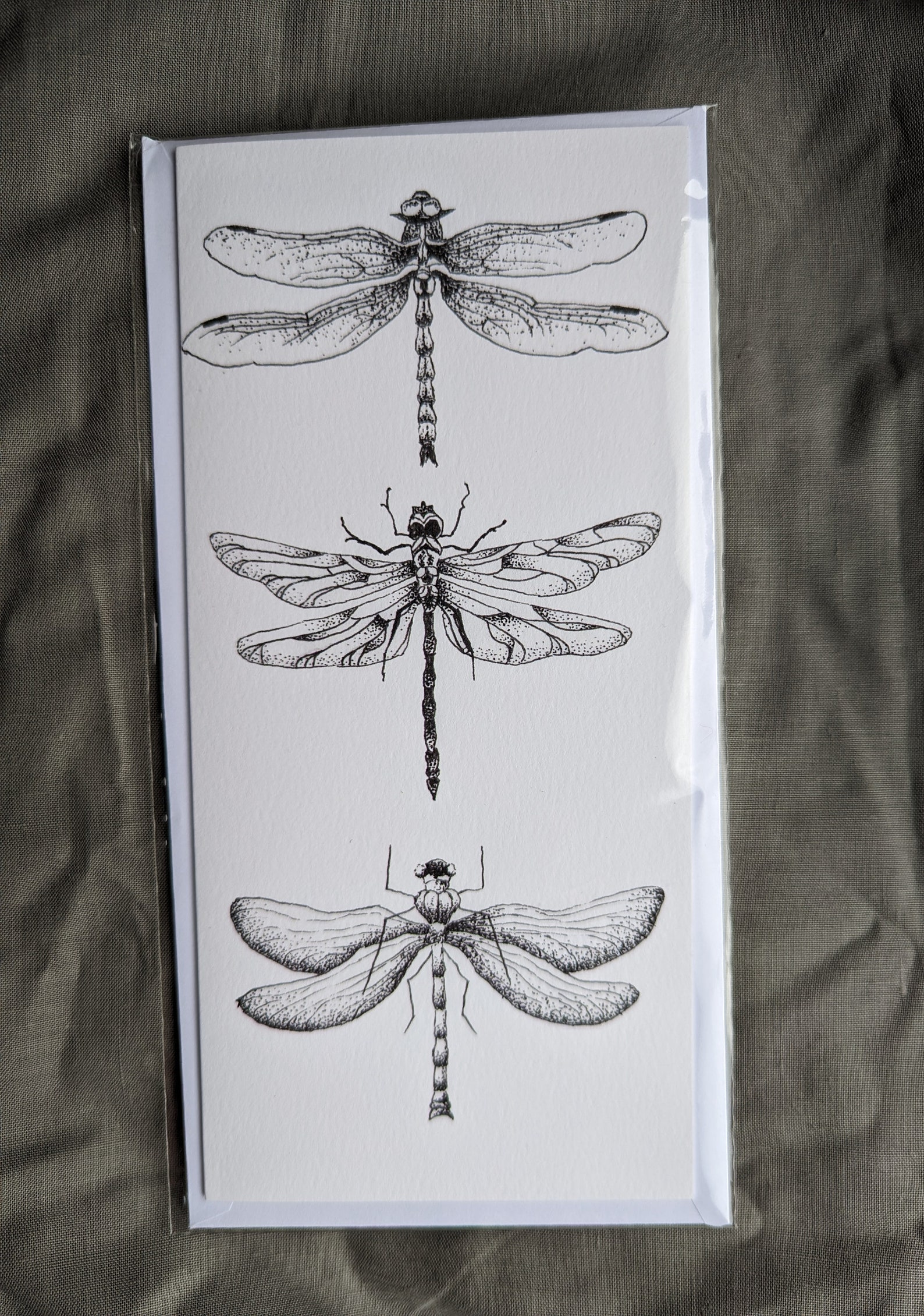 Greetings Card, Trio of Dragonflies, Pen and Ink Drawing, Wildlife Art ...