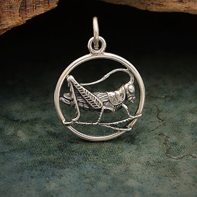 Cricket Jewelry - Etsy