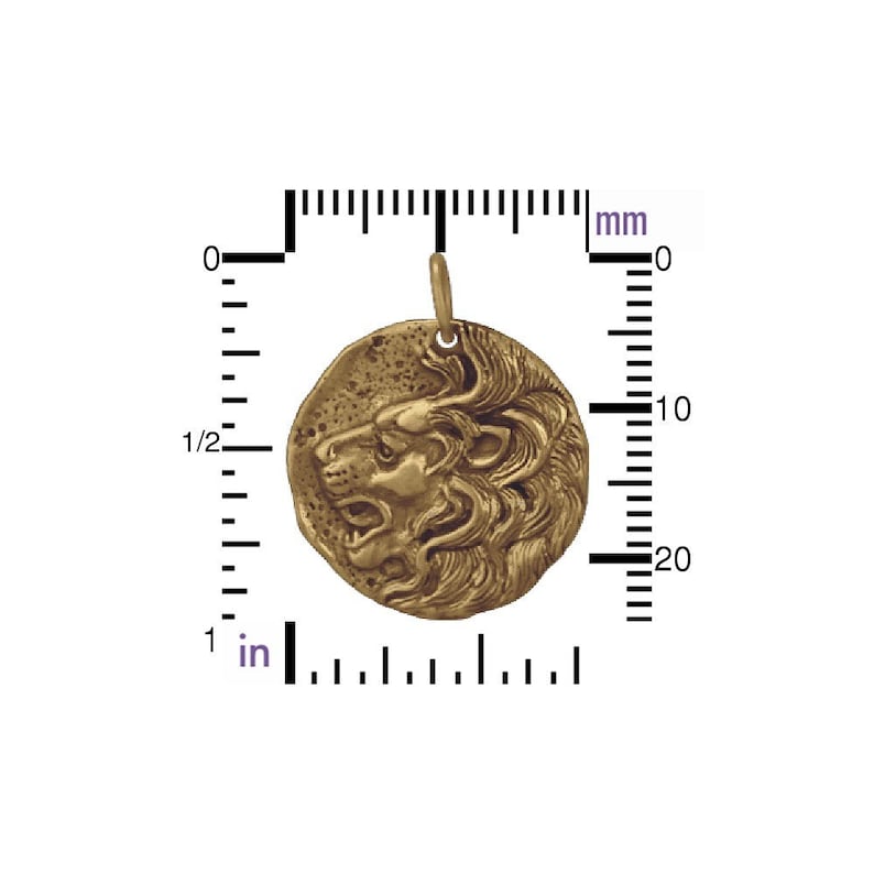 Gold Lion Necklace Solid Bronze Round Lion Charm on 14K Gold - Etsy