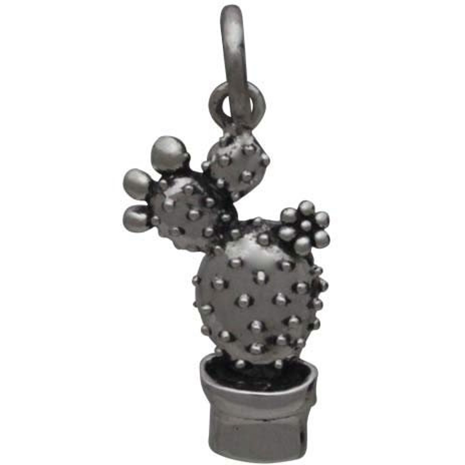 Prickly Pear Cactus Charm. 925 Sterling Silver Cactus Charm. - Etsy