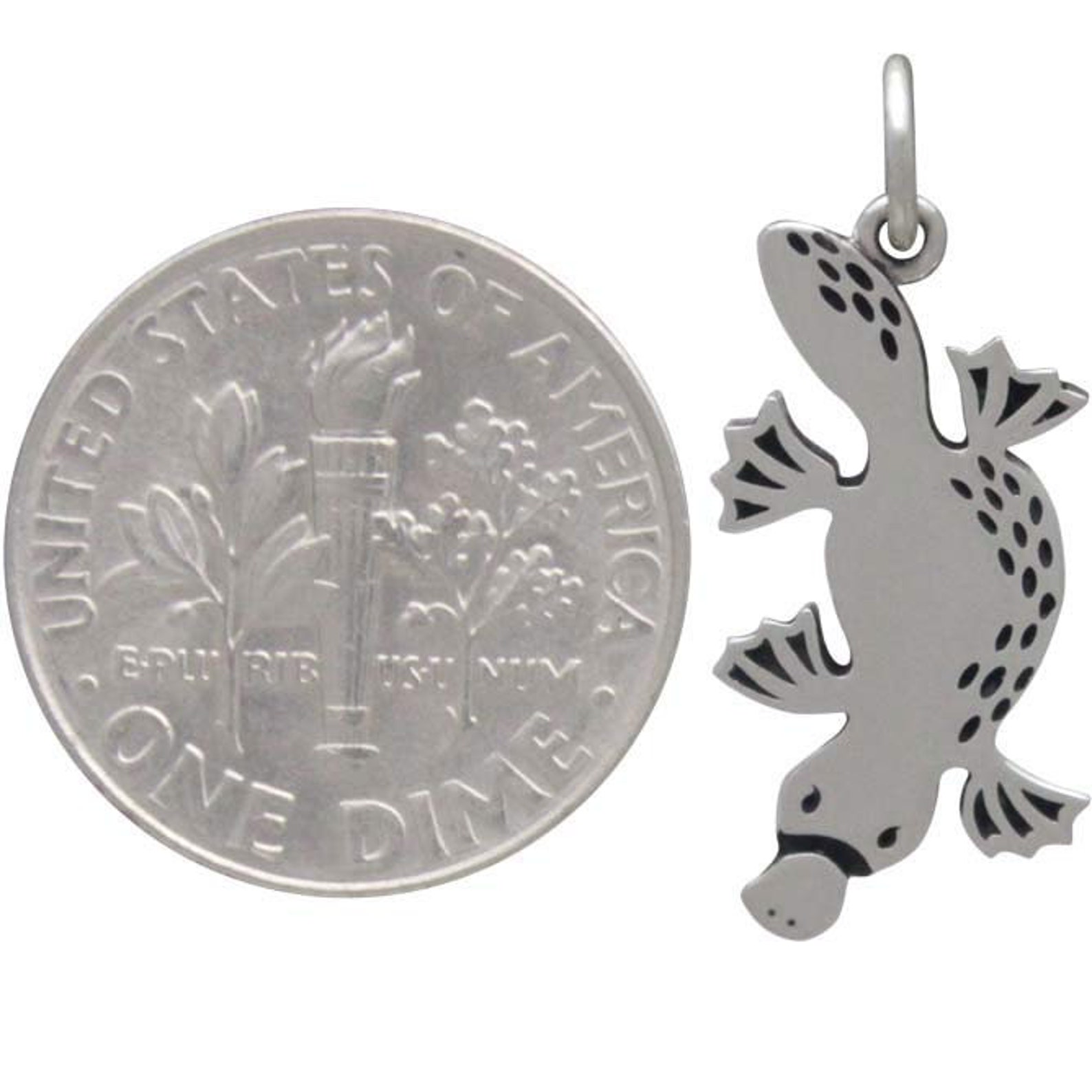 Sterling Silver Platypus Charm. Platypus Pendant. 925 Sterling Silver ...