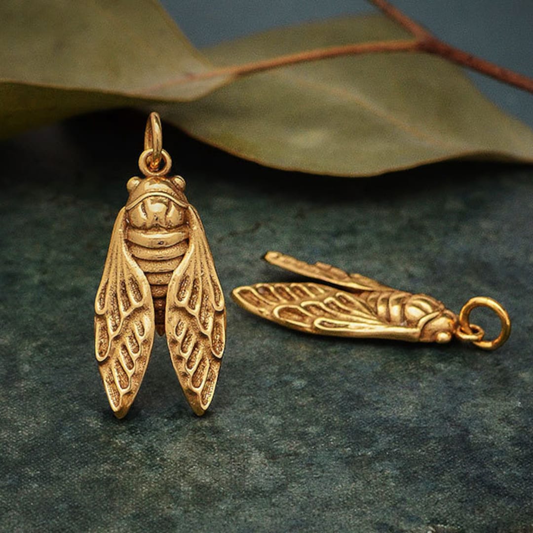 Gold Cicada Necklace - Bronze Cicada Pendant on Gold Chain. Cicada ...