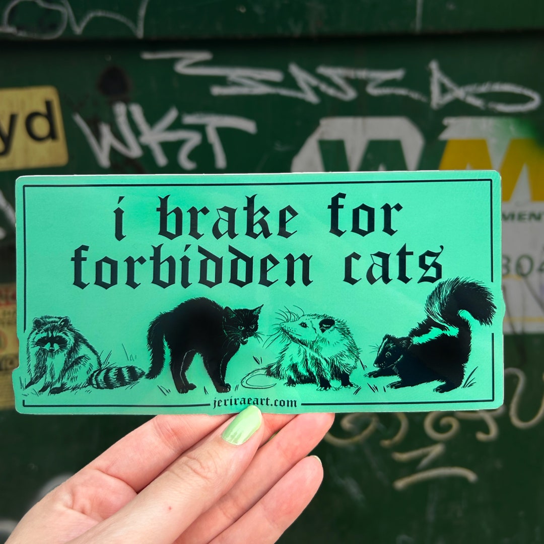 I Brake for Forbidden Cats - Bumper Sticker! Laptop Halloween Water ...