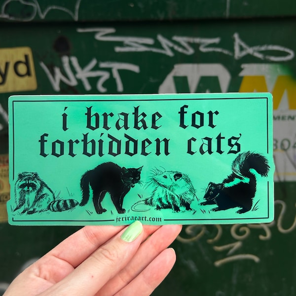 Cat Bumper Sticker - Etsy