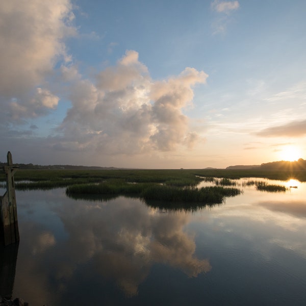 Marsh Photography - Etsy