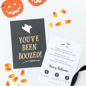 You've Been Boozed Kit, Halloween Wine Label Boo Kit, Adult Halloween ...