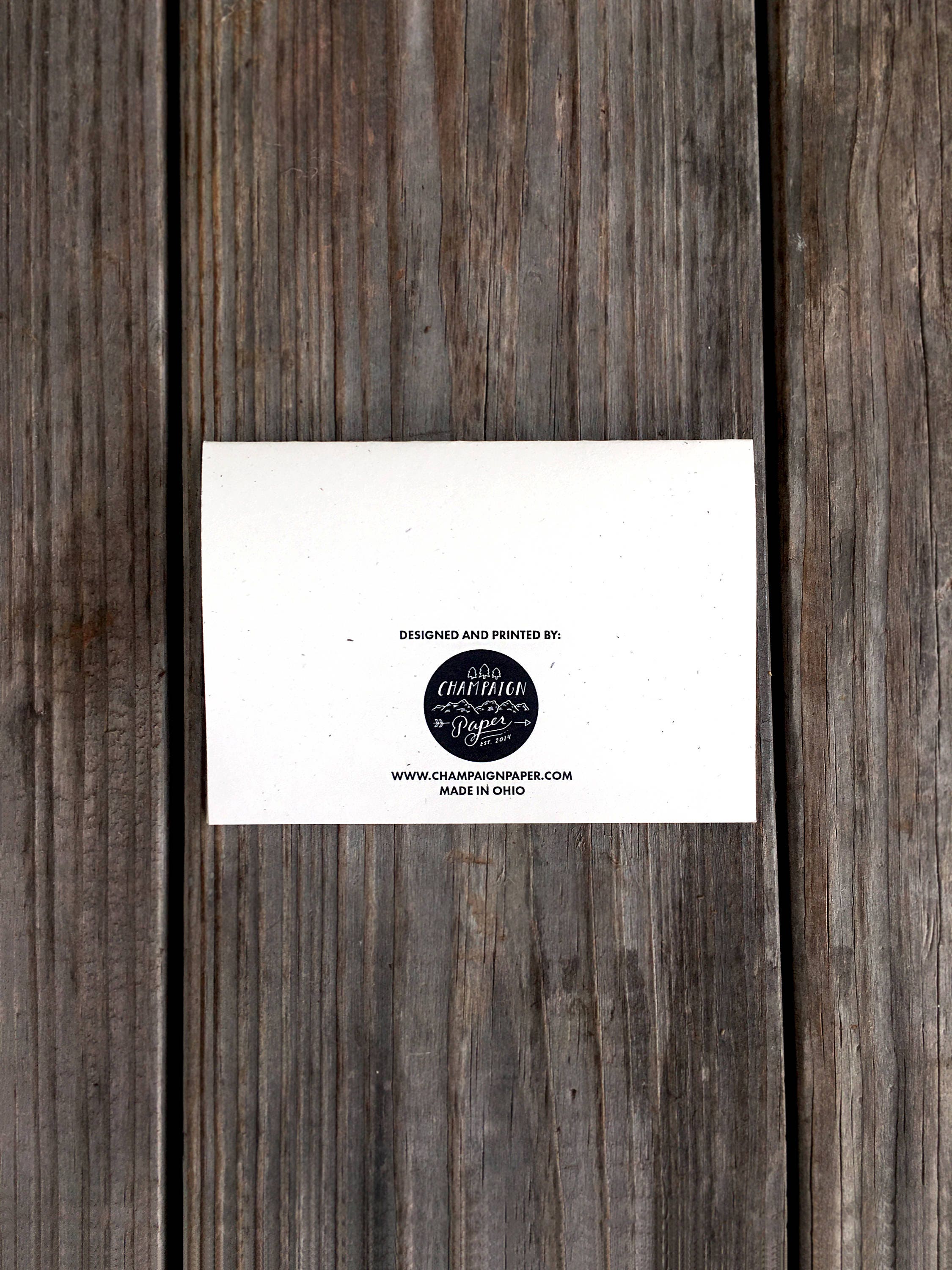 Humpback Whale Note Card Set Animal Note Card Set | Etsy