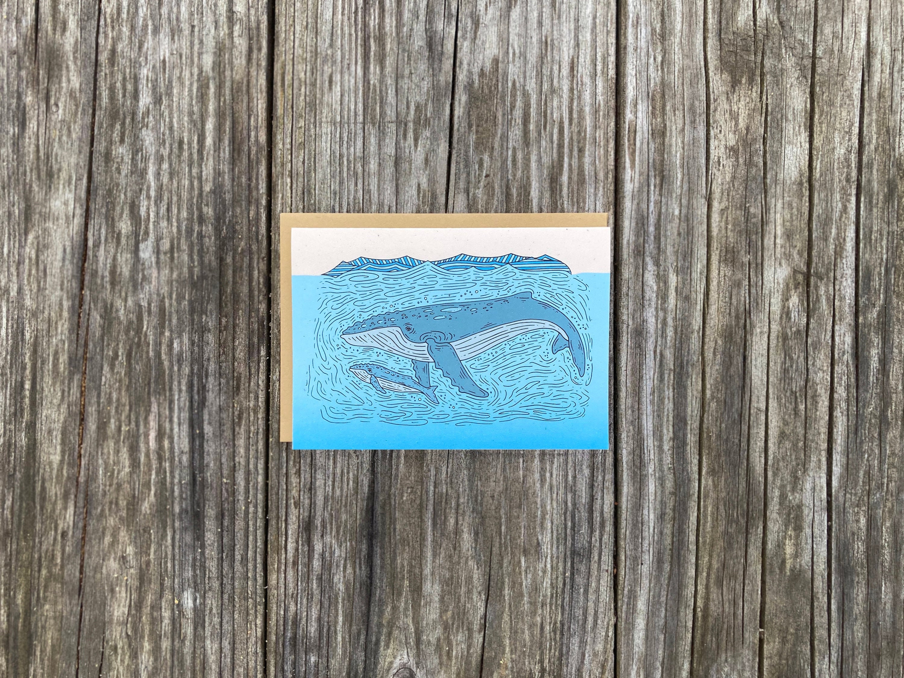 Humpback Whale Note Card Set Animal Note Card Set | Etsy