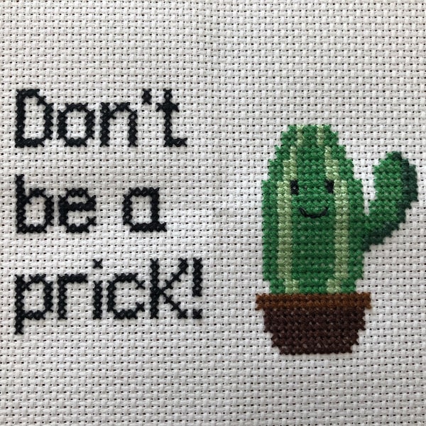 Rude Cross Stitch Pattern - Etsy UK
