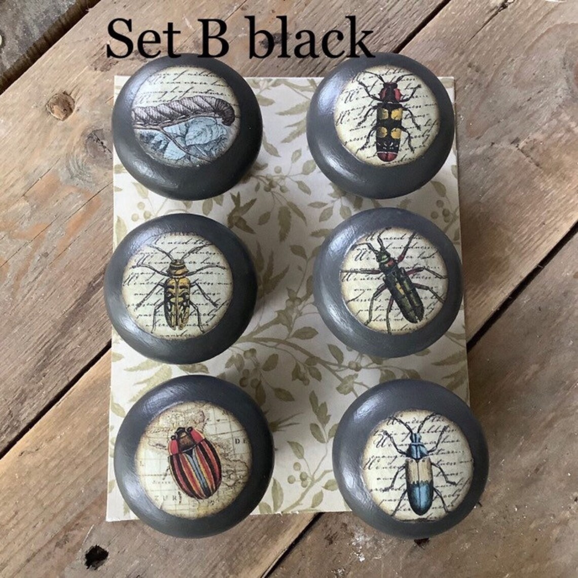 Insect Handles set of 6 Bug Handles Decoupaged Drawer - Etsy