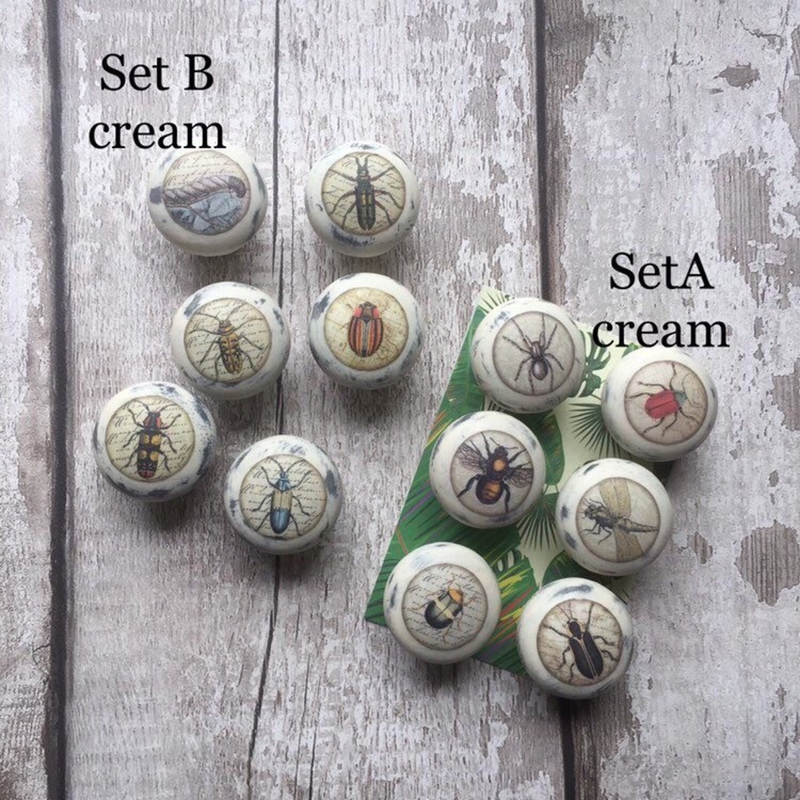 Insect Handles set of 6 Bug Handles Decoupaged Drawer - Etsy