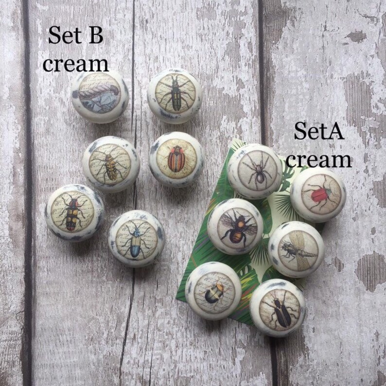 Insect Handles set of 6 Bug Handles Decoupaged Drawer - Etsy