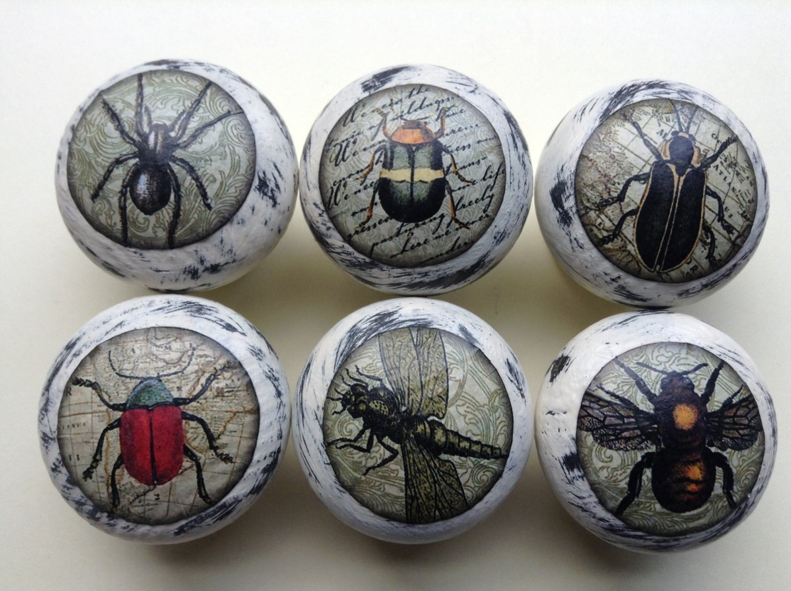 Insect Handles set of 6 Bug Handles Decoupaged Drawer - Etsy