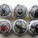 Insect Handles set of 6 Bug Handles Decoupaged Drawer Handles Drawer ...