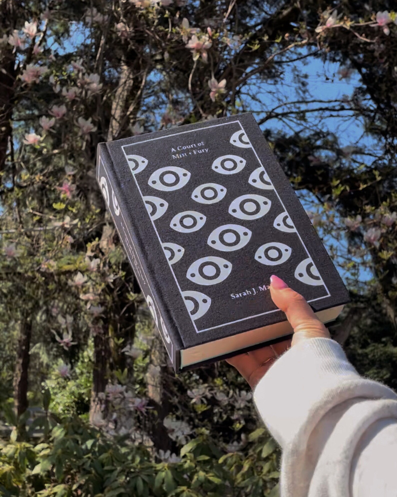 ACOMAF Cover Art Cricut Design Space Digital Download PNG. Penguin ...