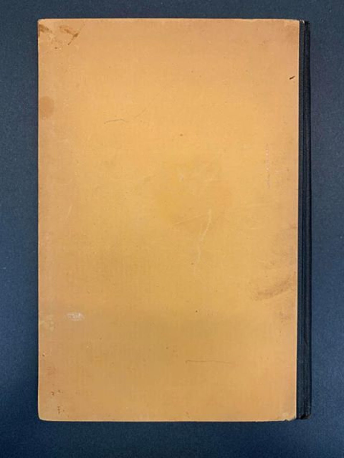 Bären Fibel German Reading Primer 1921 | Etsy