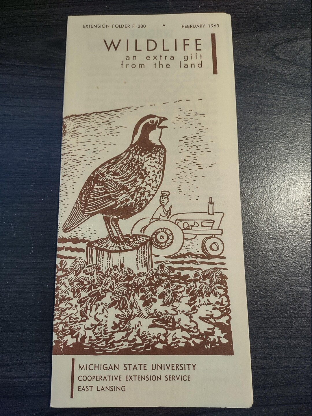 Wildlife: an Extra Gift From the Land by Charles Shick, 1914 - Etsy