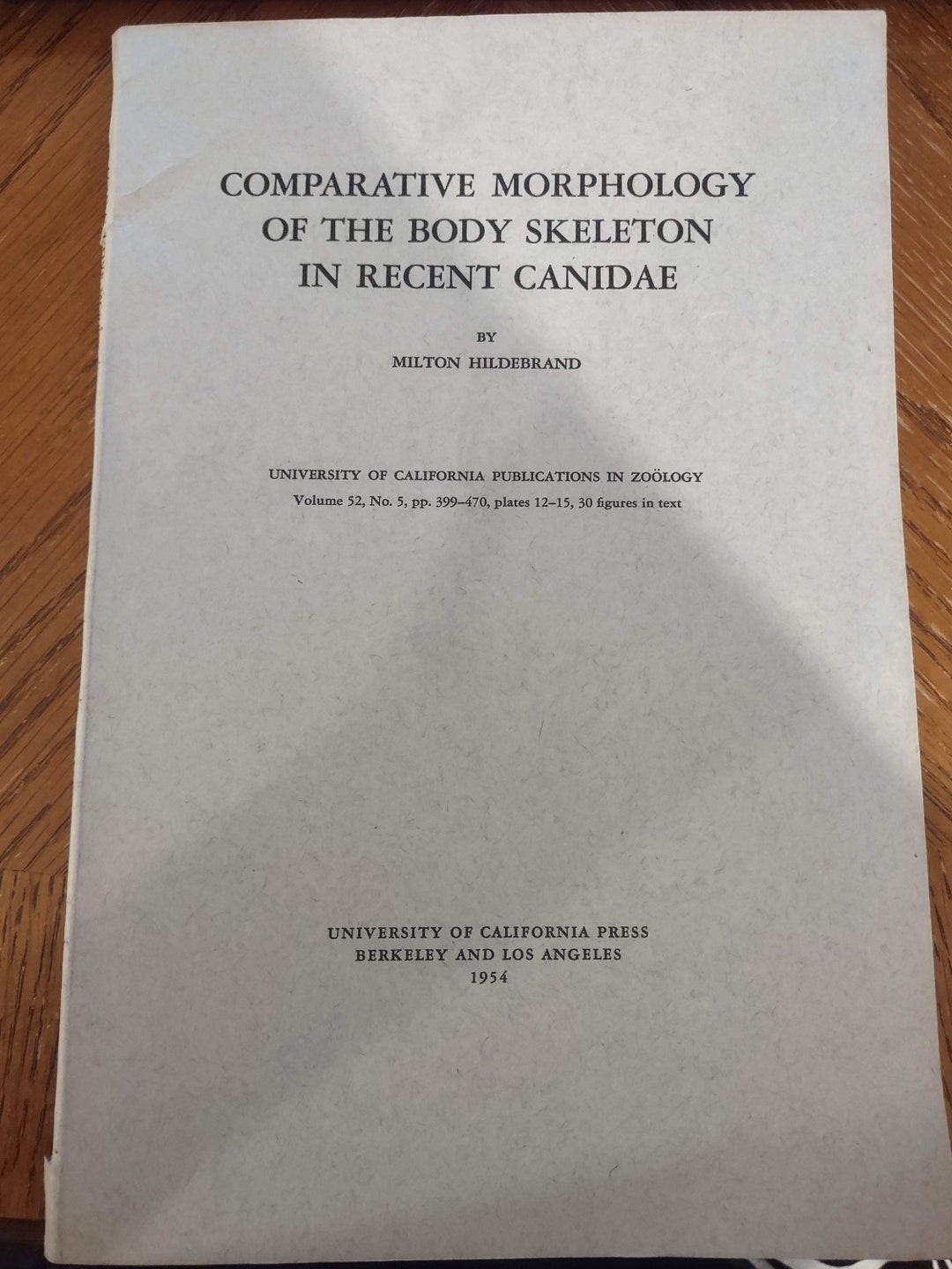 Comparative Morphology of the Body Skeleton in Recent Canidae - Etsy