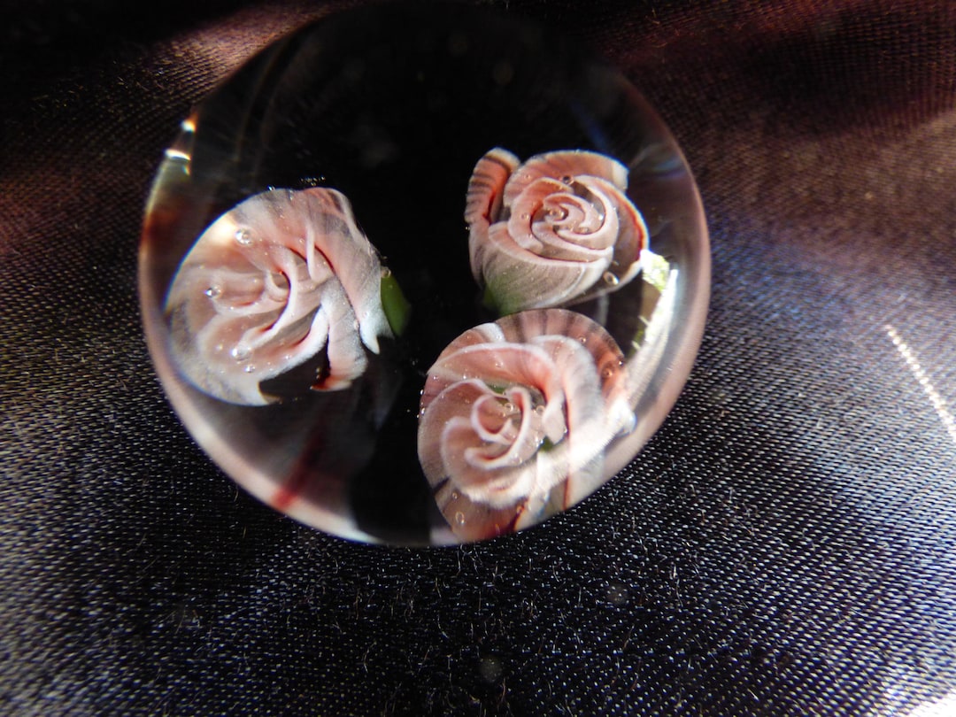 Pink Rose Boro Flower Cane. 33COE Push Cane for Making Roses Easily ...