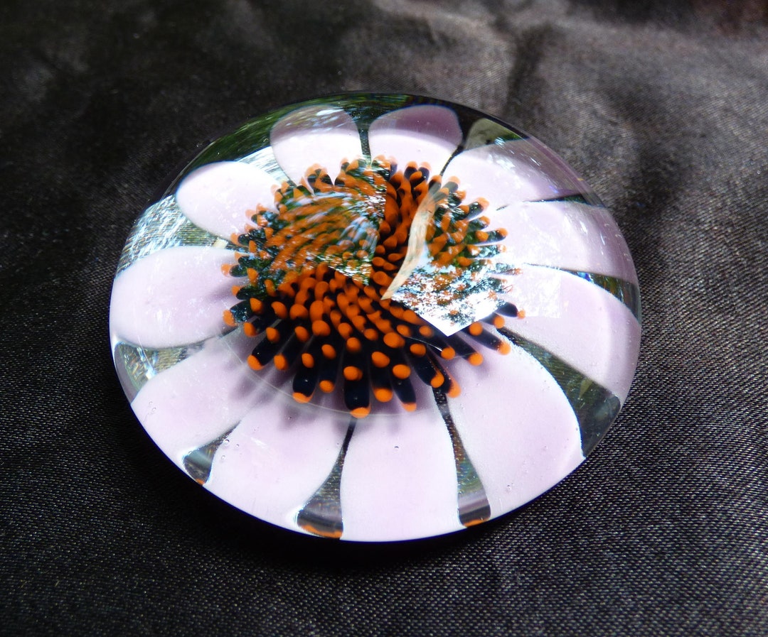 Solid Glass Echinacea Flower Paperweight Hand Made Borosilicate/pyrex ...