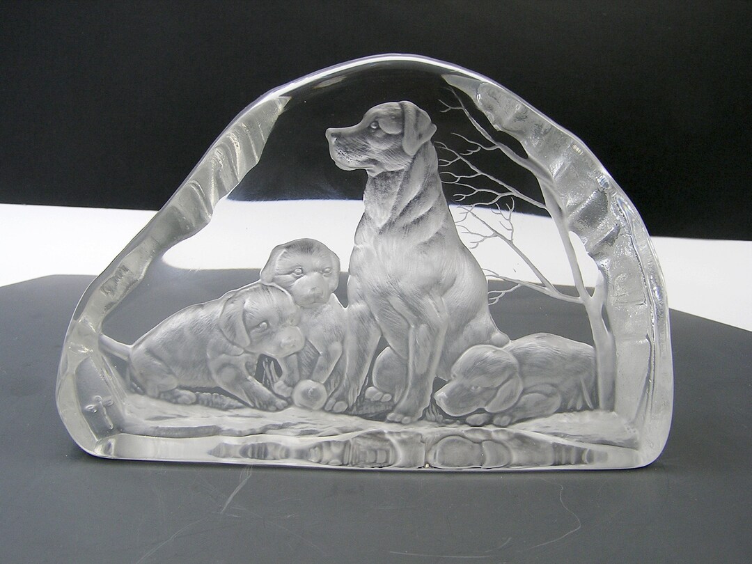 Capredoni Dartington Crystal Labrador Retriever Etched Glass - Etsy